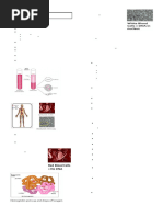 Instructions Phadebas Forensic Press Test | PDF | Home & Garden