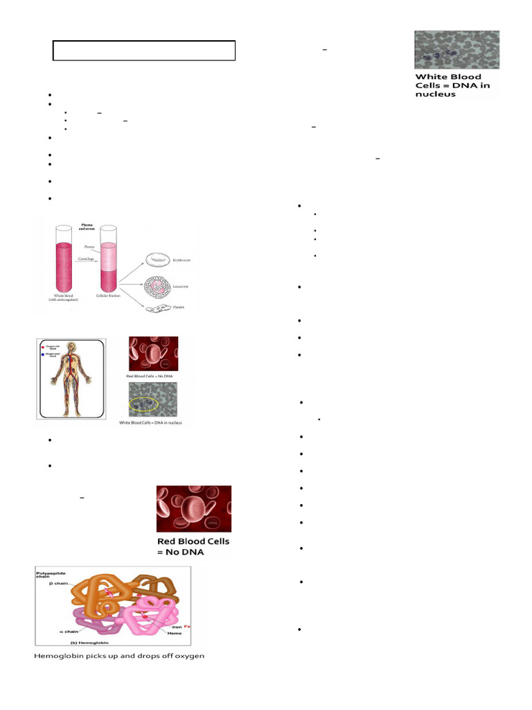 FOSC 3l BLOOD AND BLOOD STAIN | PDF | Blood Type | Blood