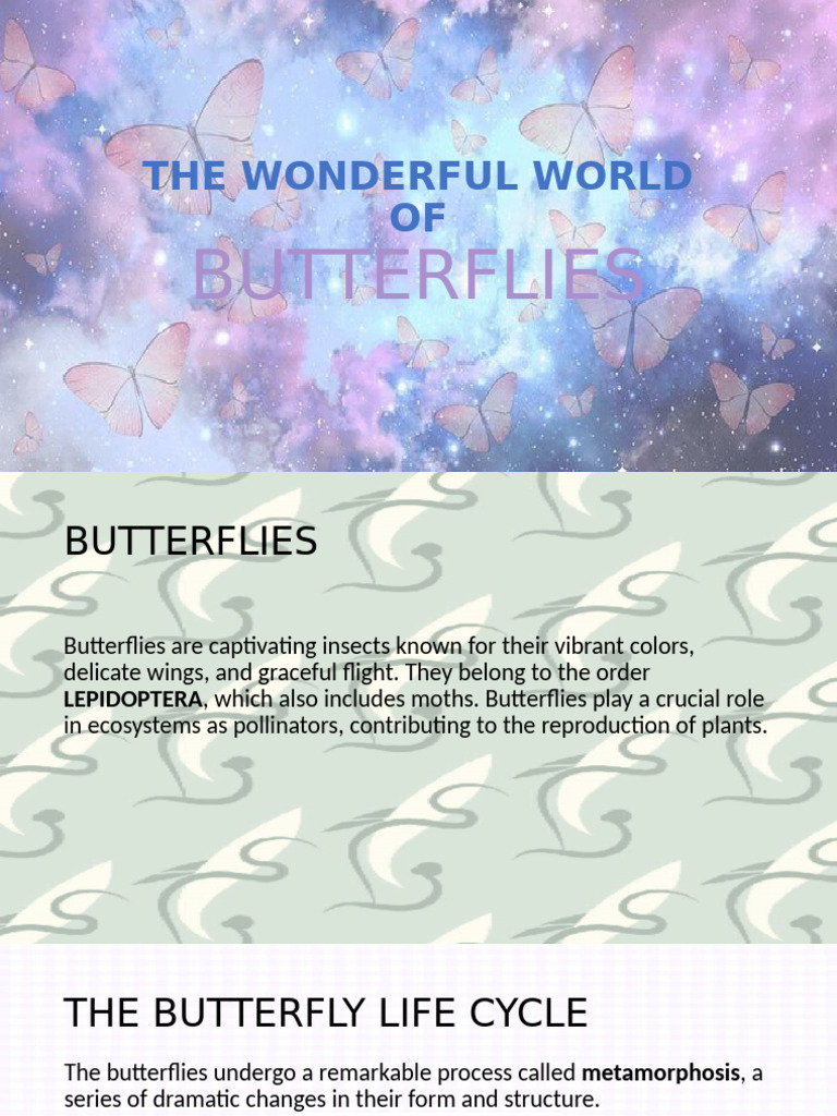 World of Butterflies | PDF | Butterfly | Pupa