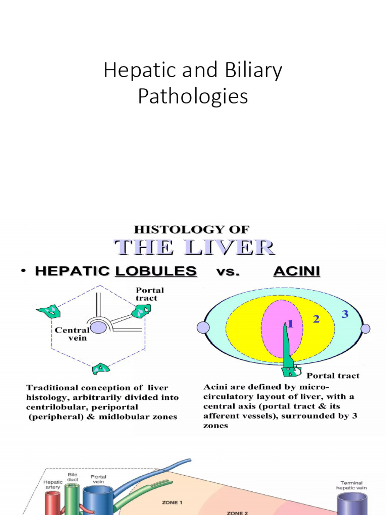 Hepatic and Biliary Pathologies | PDF