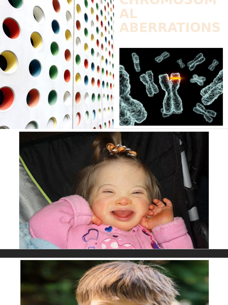 Chromosomal Aberrations Explained | PDF