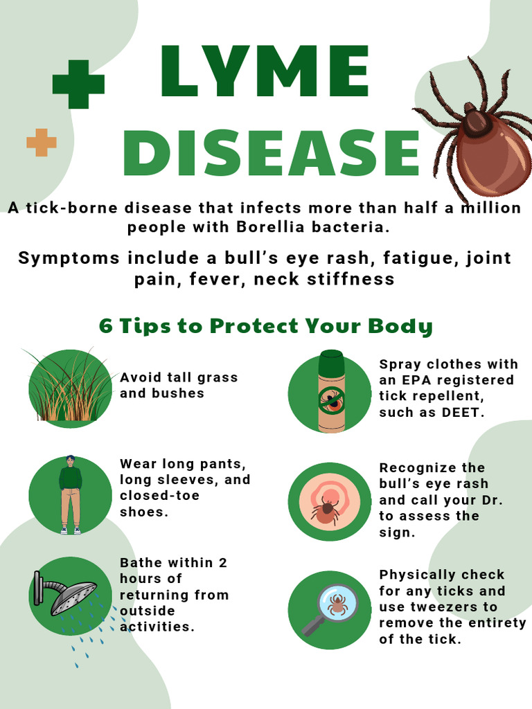 Lyme Disease Poster | PDF