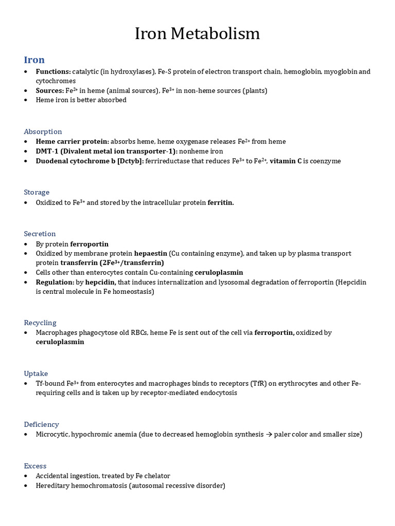 Iron Metabolism | PDF