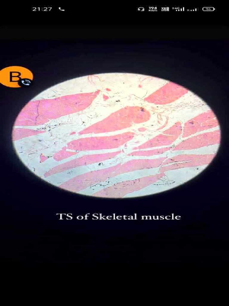 Adobe Scan 20 Feb 2025 | PDF