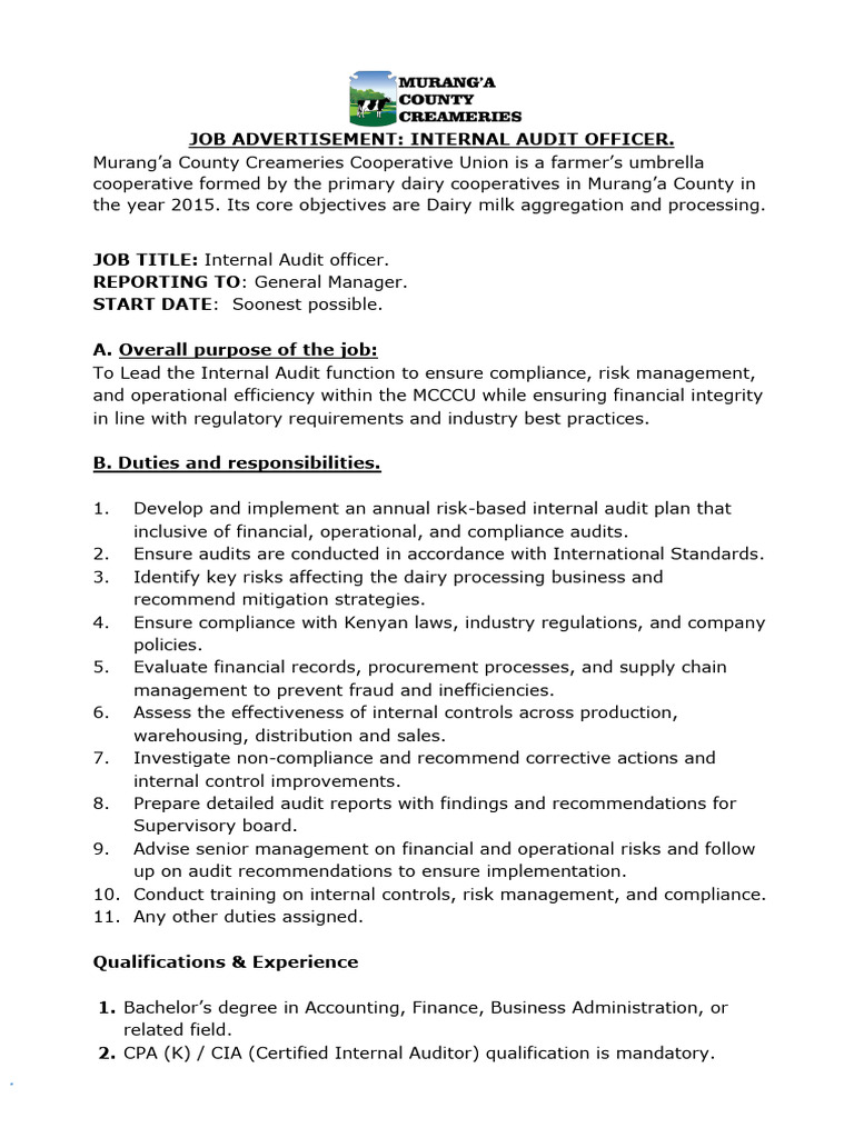 JOB - ADVERTISEMENT - Internal Auditor | PDF | Internal Audit ...