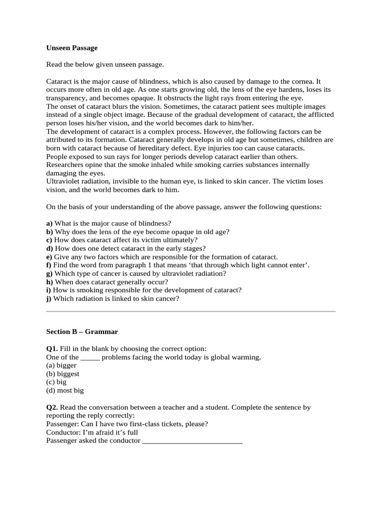 English Class 9 Worksheet | PDF | Cataract | Eye