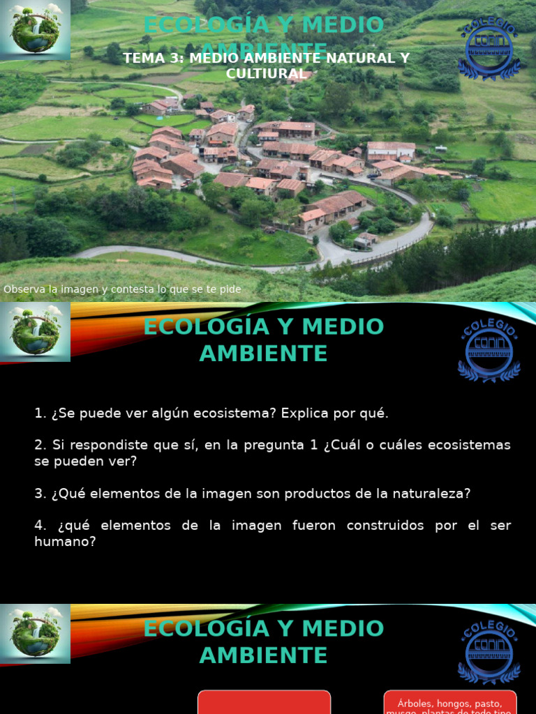Ecosistemas y Cultura en el Medio Ambiente | PDF | Entorno natural ...