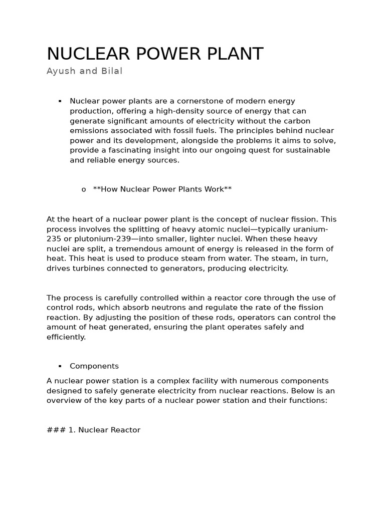 Understanding Nuclear Power Plants | PDF | Nuclear Power | Nuclear Reactor