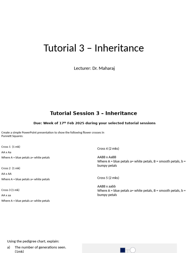Tutorial 3 - Inheritance | PDF