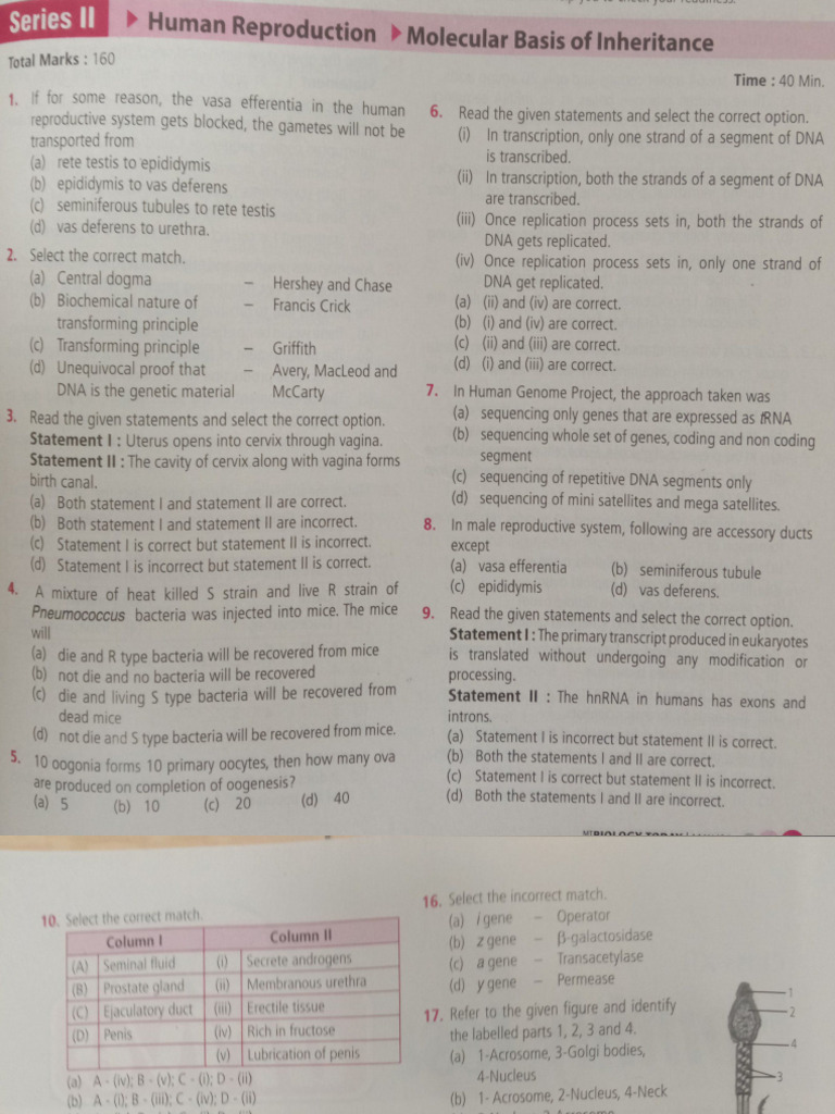 MCQ Human Reproduction 2024 23-Dec-2024 12-50-40 | PDF