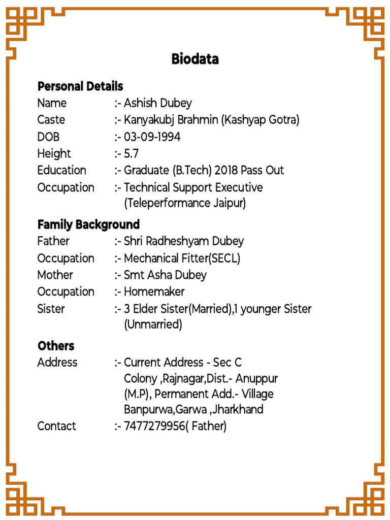 Ashish Dubey's Personal Biodata Profile | PDF