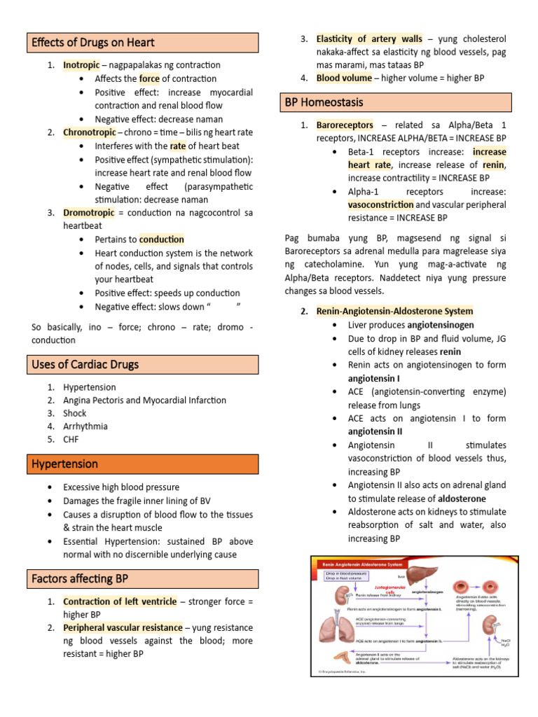 PHARMA Cardiac Drugs Midterms | PDF | Heart | Angiotensin