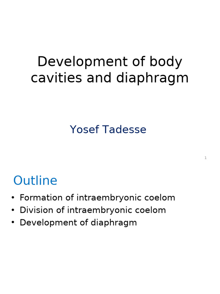 Diaphragm and Body Cavity Development | PDF | Anatomy
