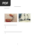 RPI System in Prosthodontics Explained | PDF | Dentistry | Dentistry ...