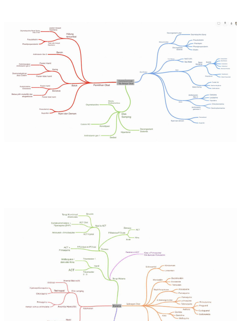 Mind Map | PDF