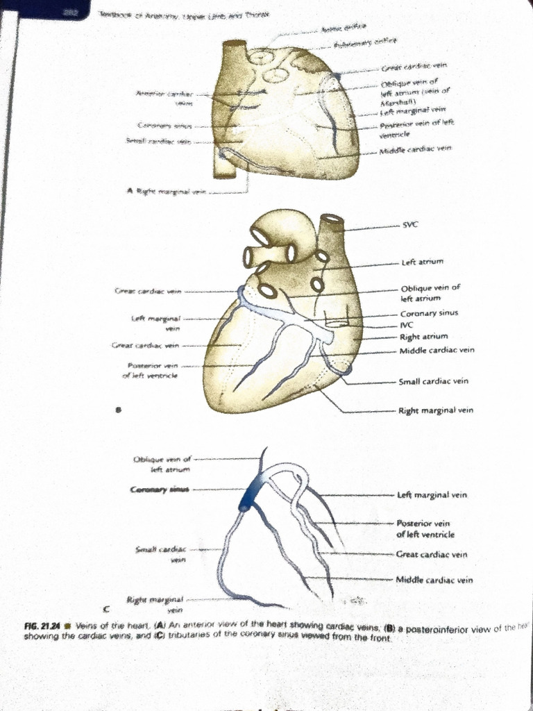 Scanned 20250223-1228 | PDF