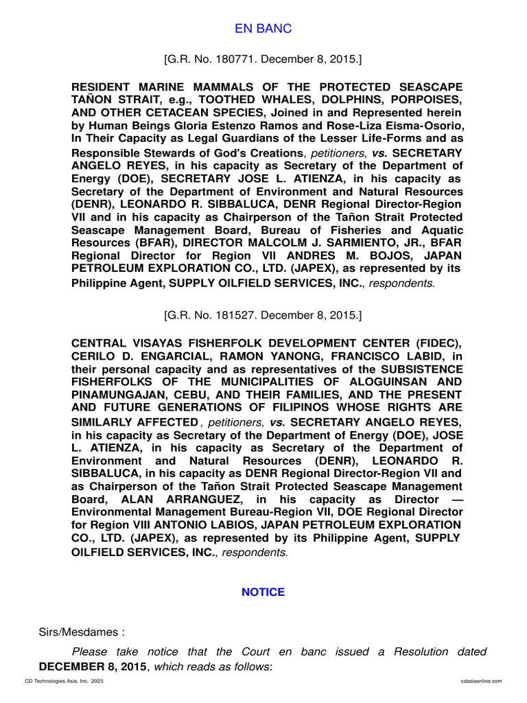 11.1 Resident Marine Mammals of The Protected Seascape Tañon Strait v ...