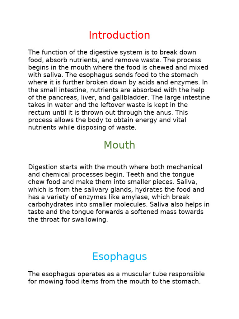 science peroject | PDF | Digestion | Stomach