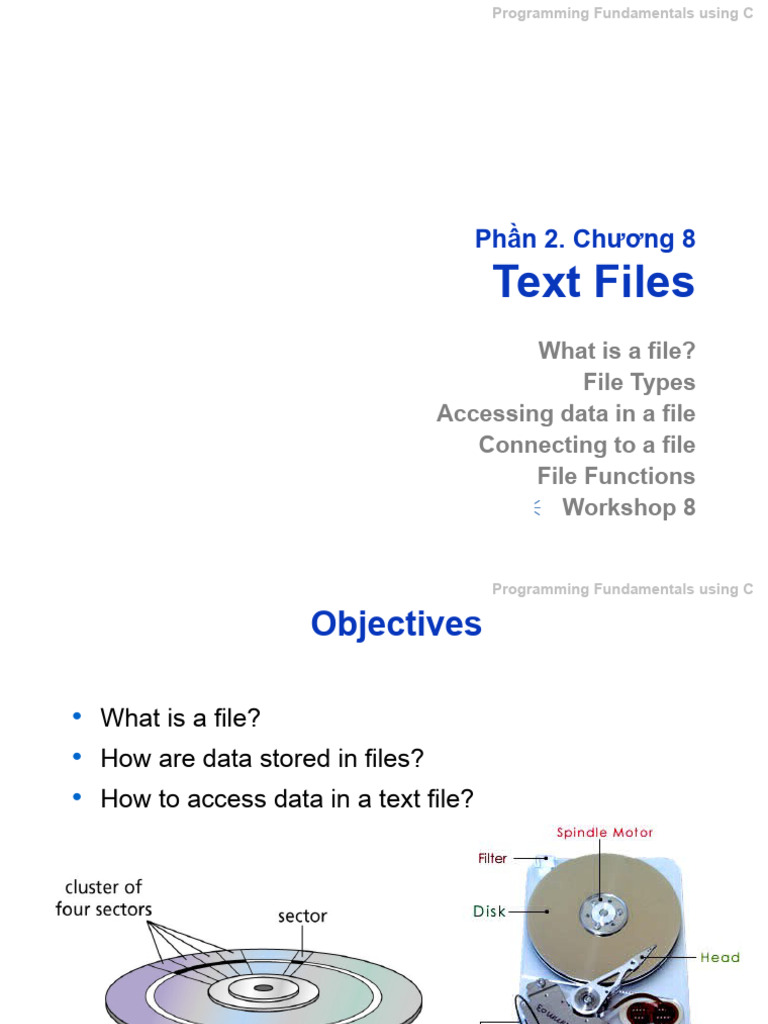 Phần 2. Chương 8. File | PDF | Computer File | File Format