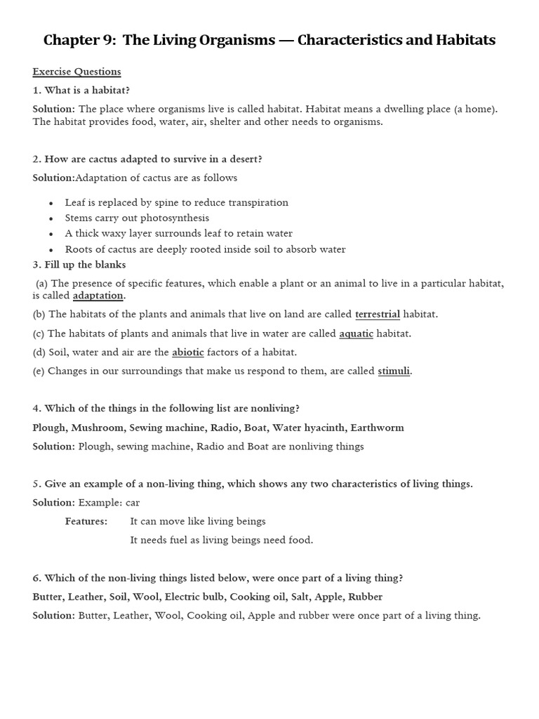 Class 6 Chapter 9 Pdf