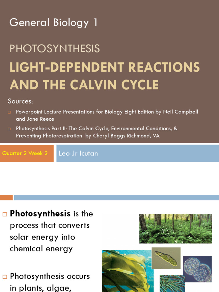 Photosynthesis Process by Leo JR Icutan Gen Bio 1 Week 2 Quarter 2 ...