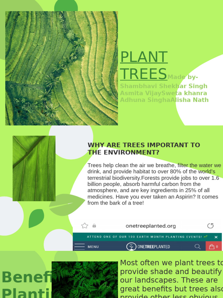 Importance of Trees for Environment | PDF | Trees | Air Pollution