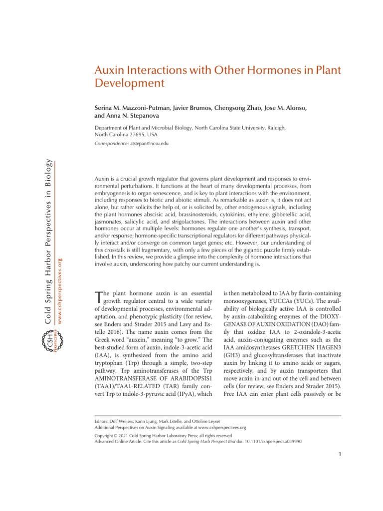 Auxin Interactions With Other Hormones in Plant Development | PDF | Plant Hormone | Auxin