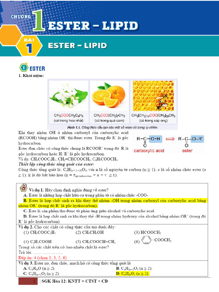 Bai 1 Ester Lipid Ban Giao Viendocx 1600 PDF - Gdrive.vip | PDF