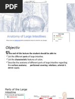 Anatomy of Appendix and Colon Explained | PDF | Large Intestine | Anatomy