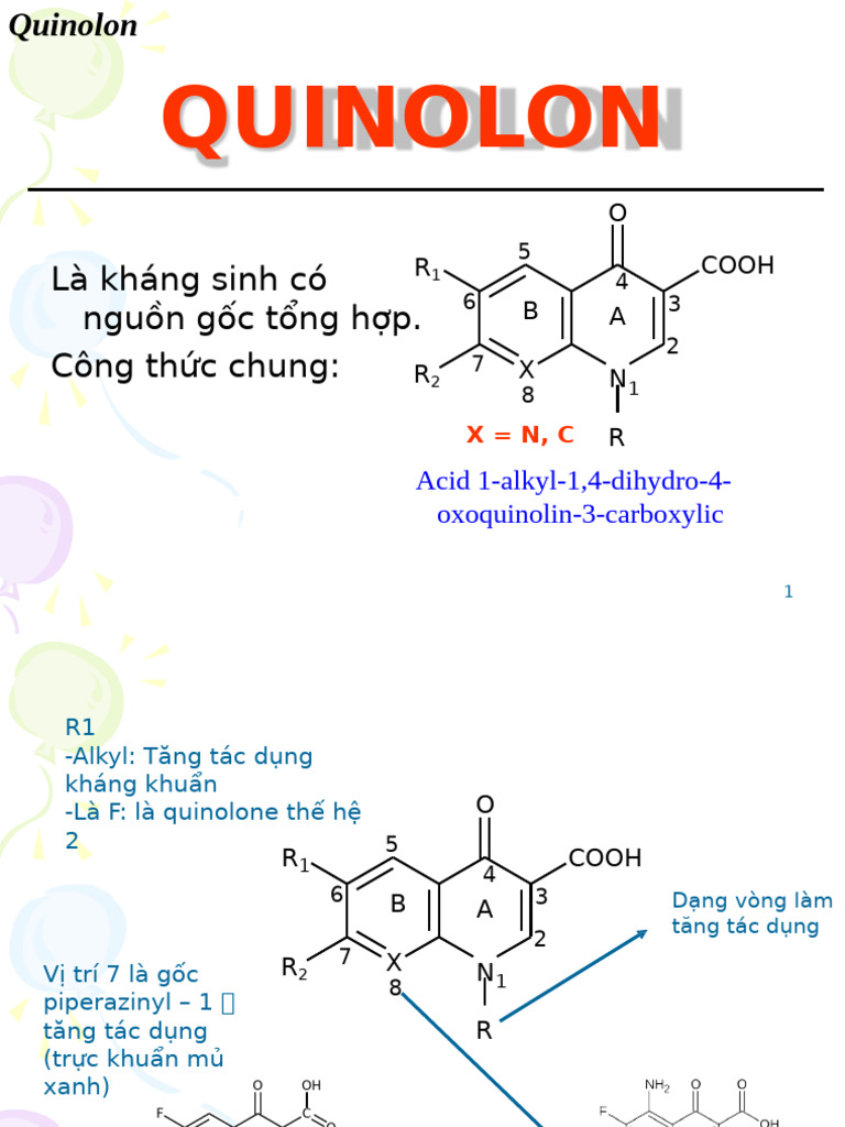 Ks Quinolon | PDF