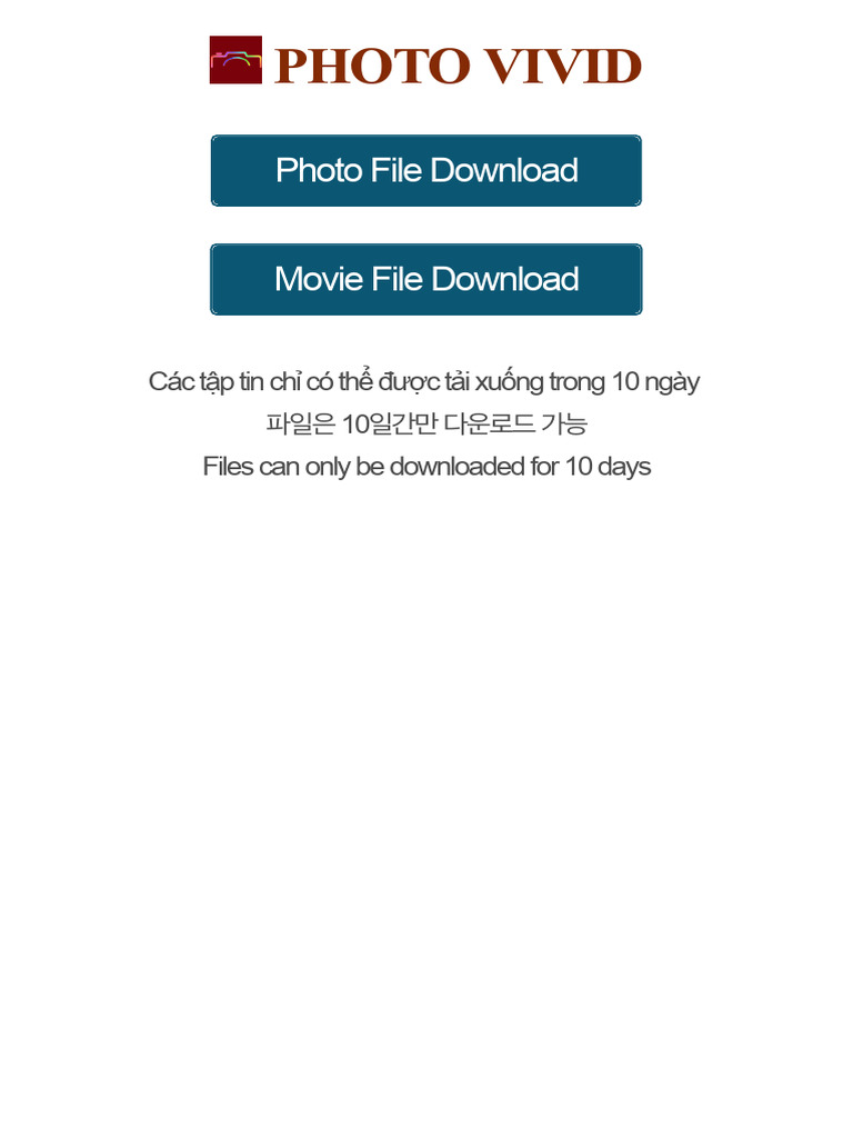 Photo Vivid | PDF