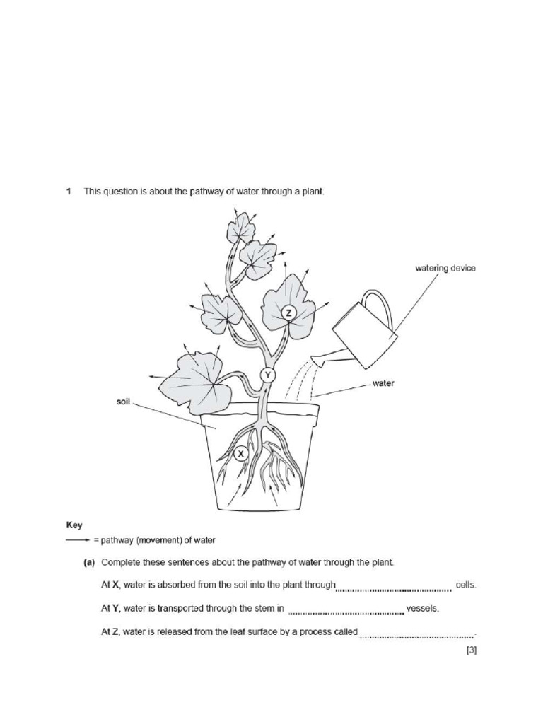 G-8 Checkpoint Past Papers Worksheet-3 | PDF