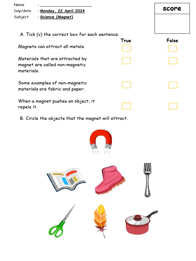 Science Magnet Worksheet for Students | PDF