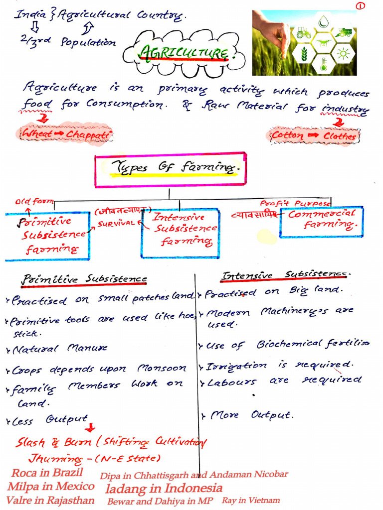 Class 10 Agriculture CH 4 Geography | PDF