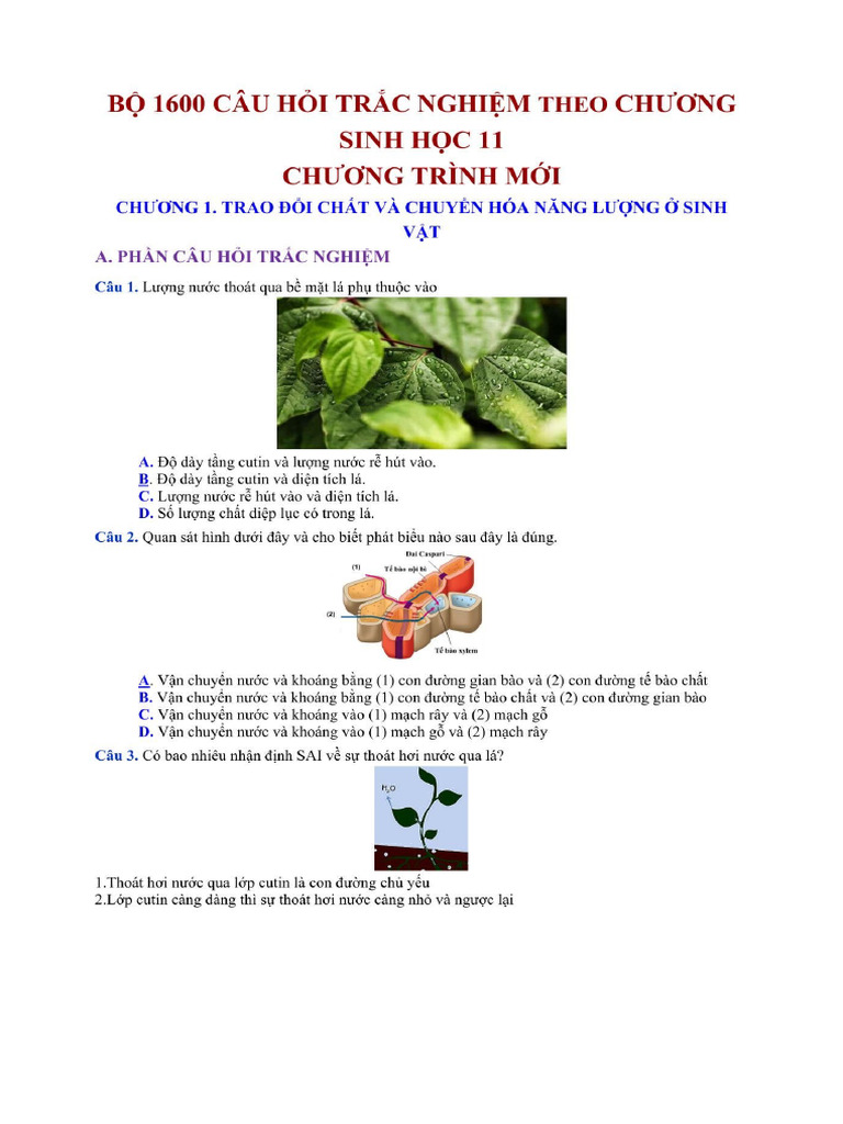 1500 Cau Trac Nghiem Sinh 11 | PDF