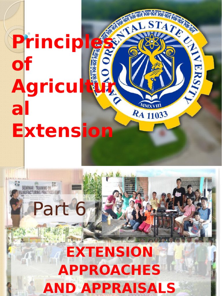 Viii. Extension Approaches | PDF | Swot Analysis | Methodology