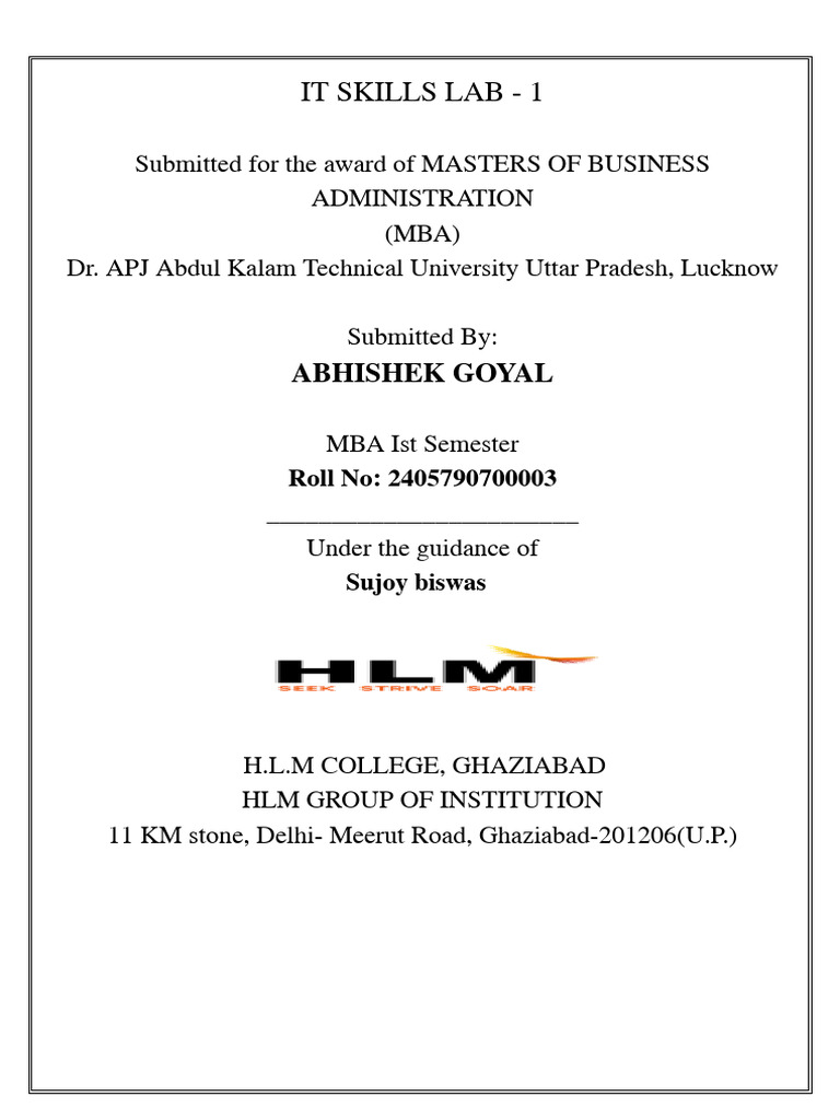 IT Skills Lab Project Report | PDF