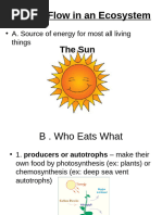 Male Reproductive System Worksheet Support | PDF