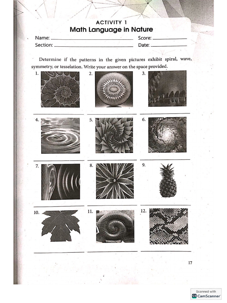 MMW-CHAPTER-1-BOOK-ACTIVITIES | PDF