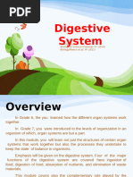 Digestive System GIZMO | PDF | Digestion | Small Intestine