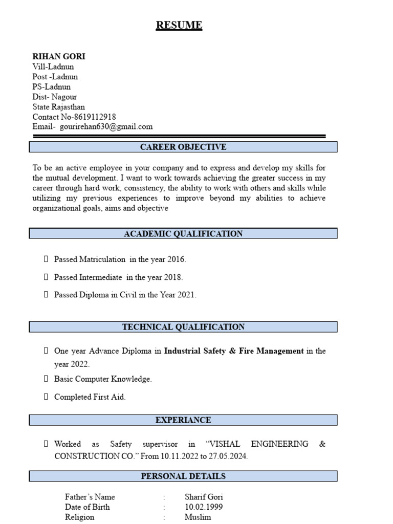 CV NEW-2 | PDF