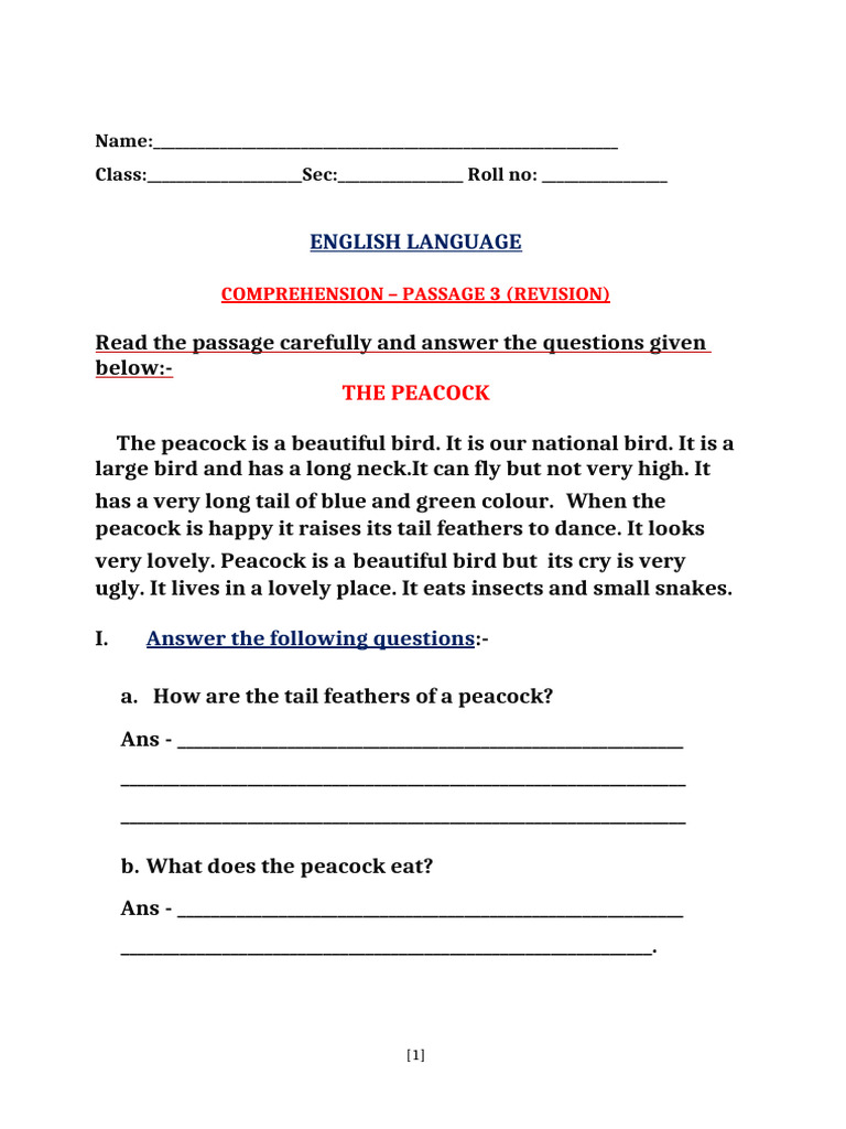 Comprehension | PDF
