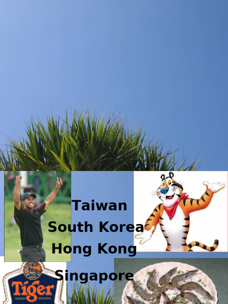 Newlyindustrialisingcountries | PDF | Four Asian Tigers | Economies