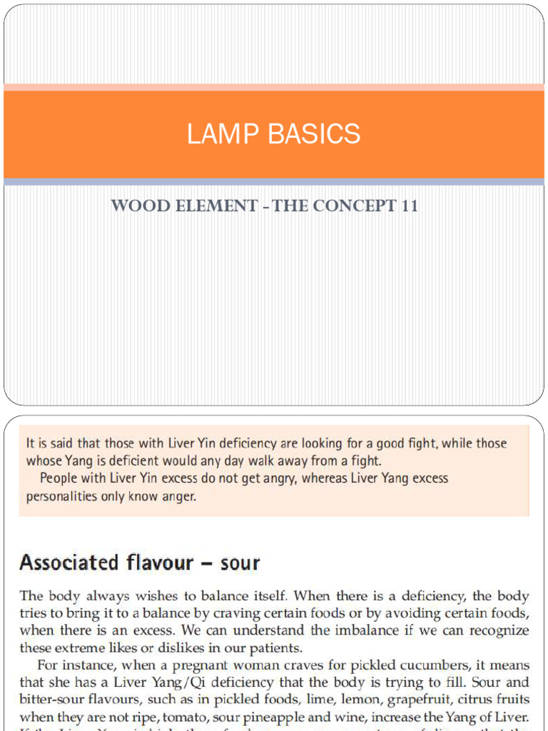 02 Wood Element Concept 11 | PDF