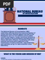 Org Chart Nbi | PDF | Business | Technology & Engineering