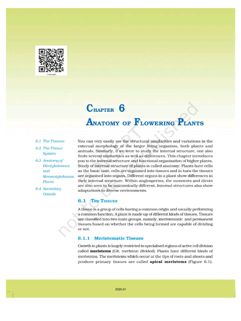 Anatomy of Flowering Plants | PDF