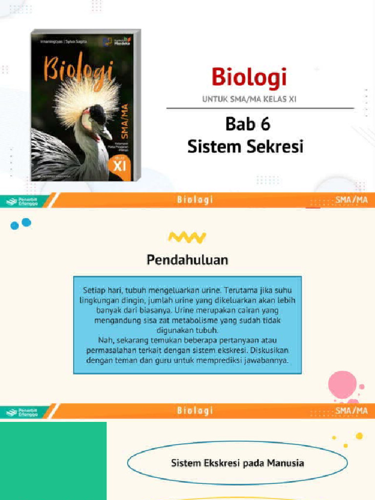 Bab 6 Biologi Kelas Xi Kurmerdekapptx 260932513 | PDF
