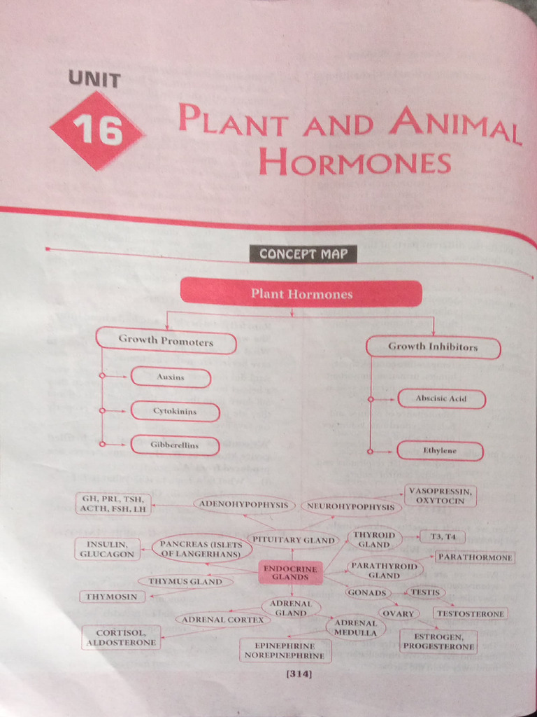 Adobe Scan 07-Dec-2023 | PDF | Endocrine System | Glands
