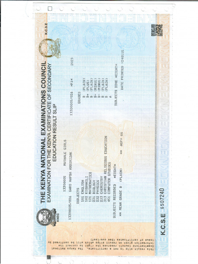 Kcse Result Slip | PDF
