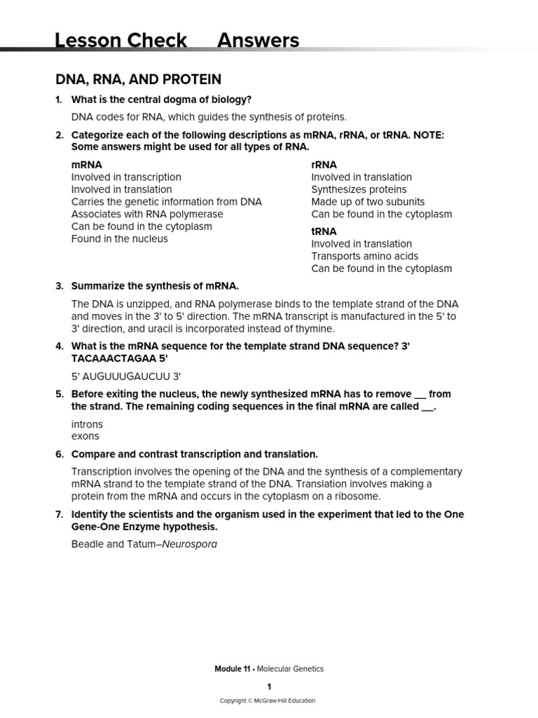 Lesson Check Answer Key_ DNA, RNA, and Protein | PDF